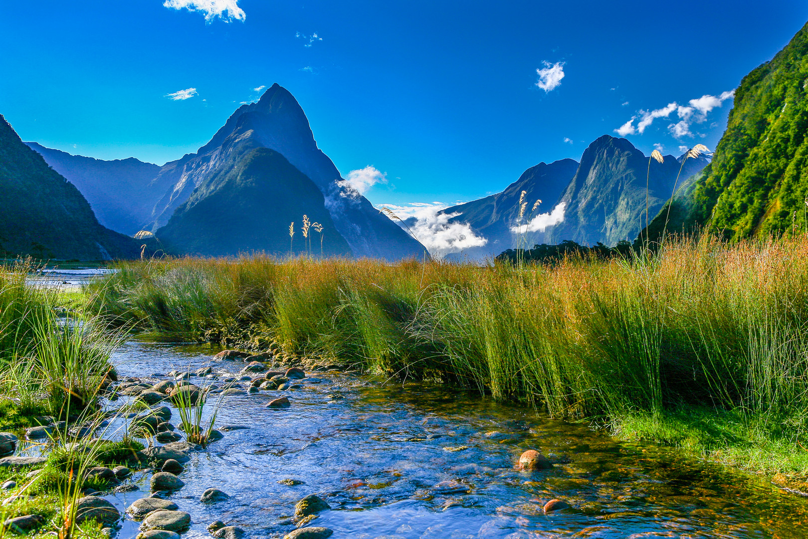 Milford Sound Neuseeland Foto & Bild | natur, landschaft, berge Bilder ...