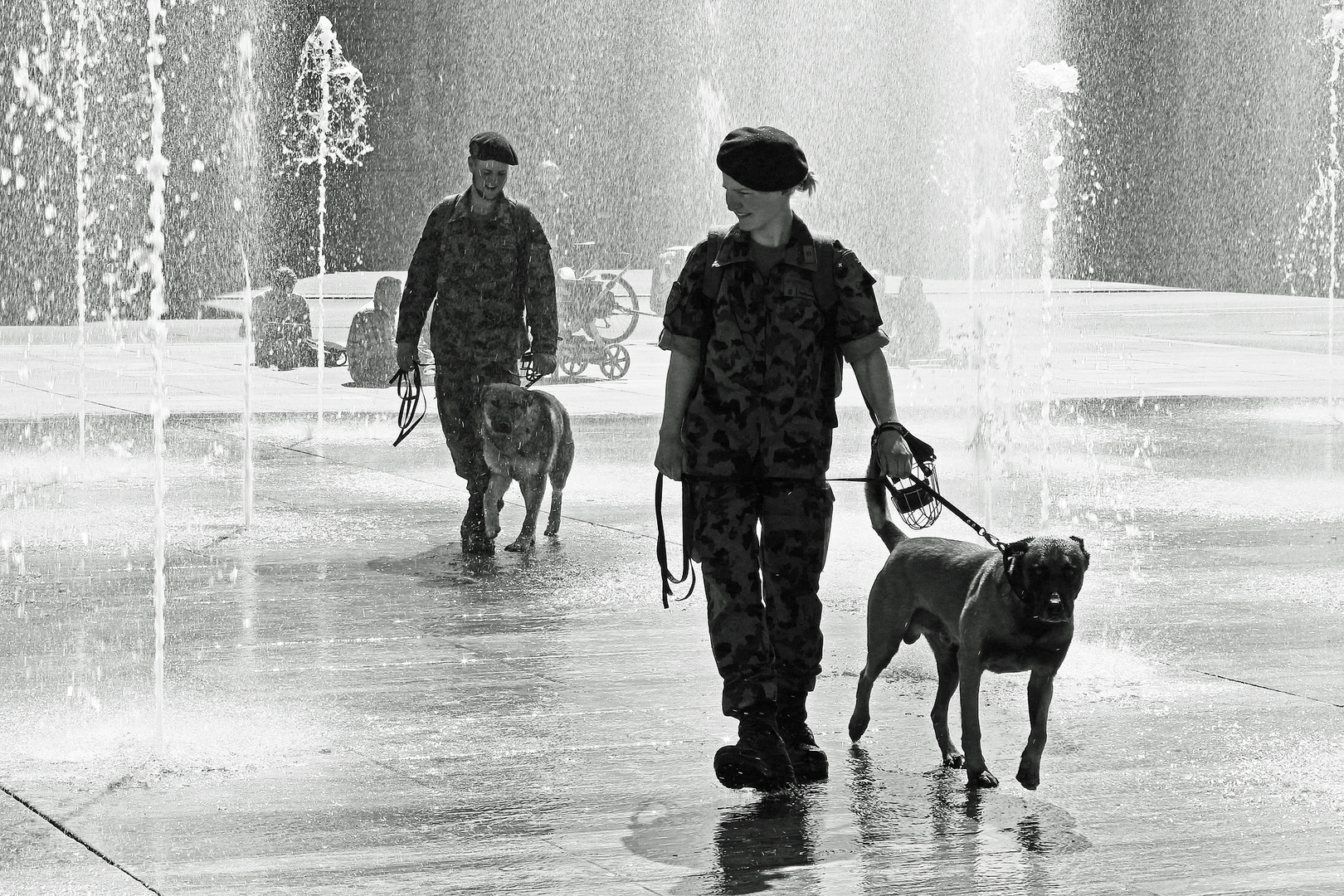 Militärisches Gassi gehen Foto & Bild | menschen, streetfotografie, bern Bilder auf fotocommunity