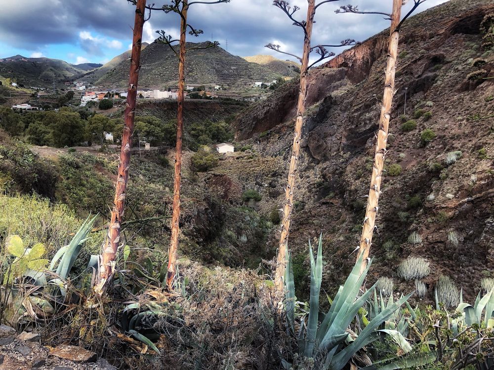 Militärzone Foto & Bild | europe, canary islands die kanaren, spain ...