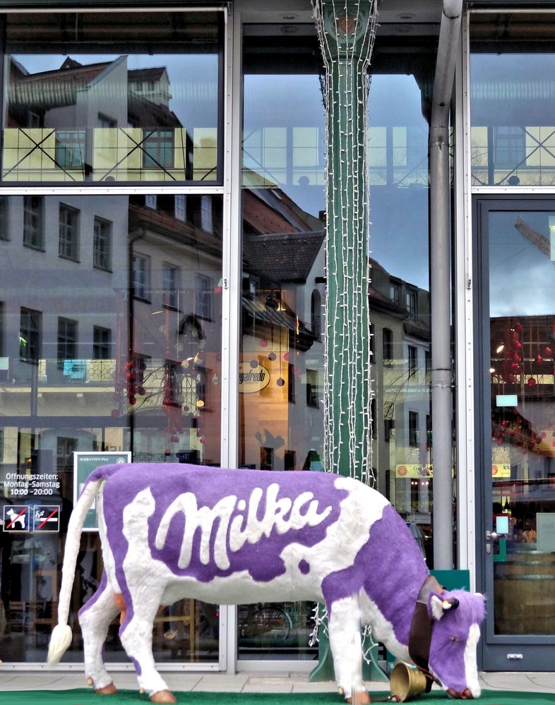 milka kuh Foto & Bild | stillleben, zufällige arrangements, münchen ...