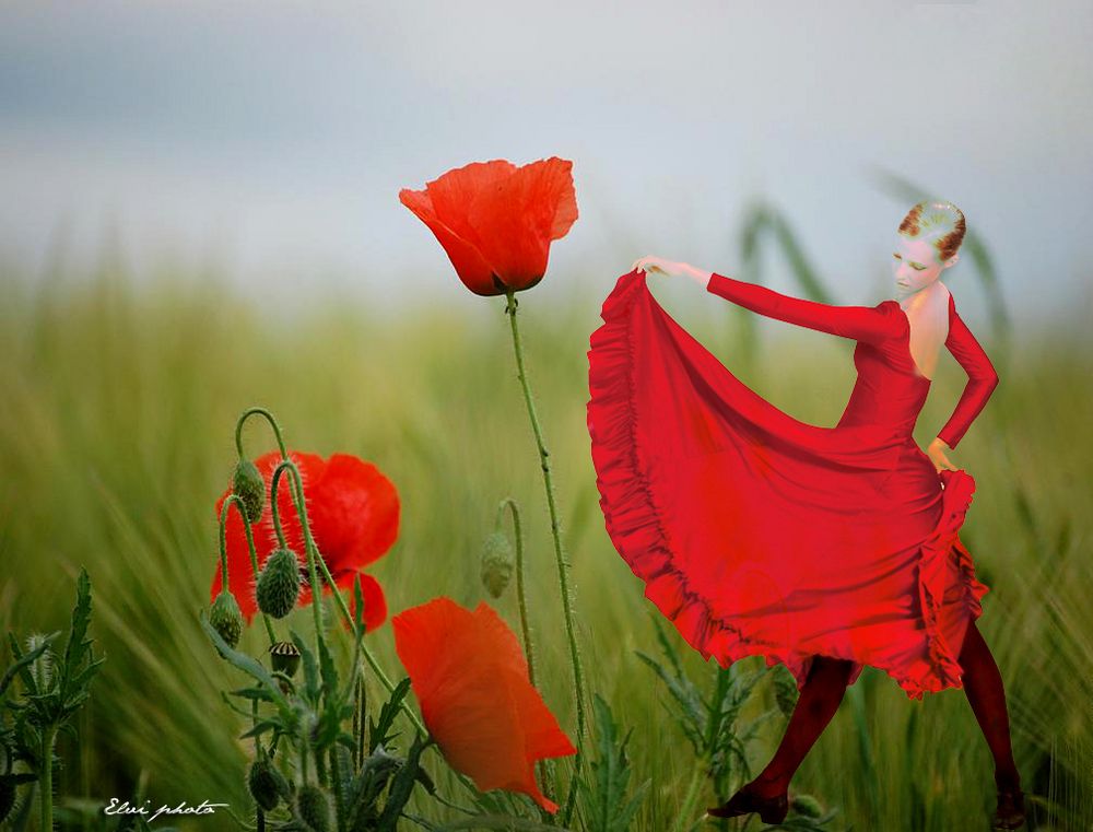 Mimétisme photo et image | collage, danse , digiart Images fotocommunity