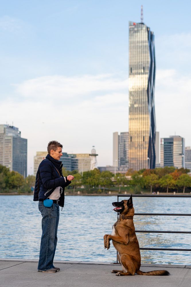 Mindset Training für Hunde :-) Foto & Bild | erwachsene menschen, tiere, haustiere Bilder auf ...