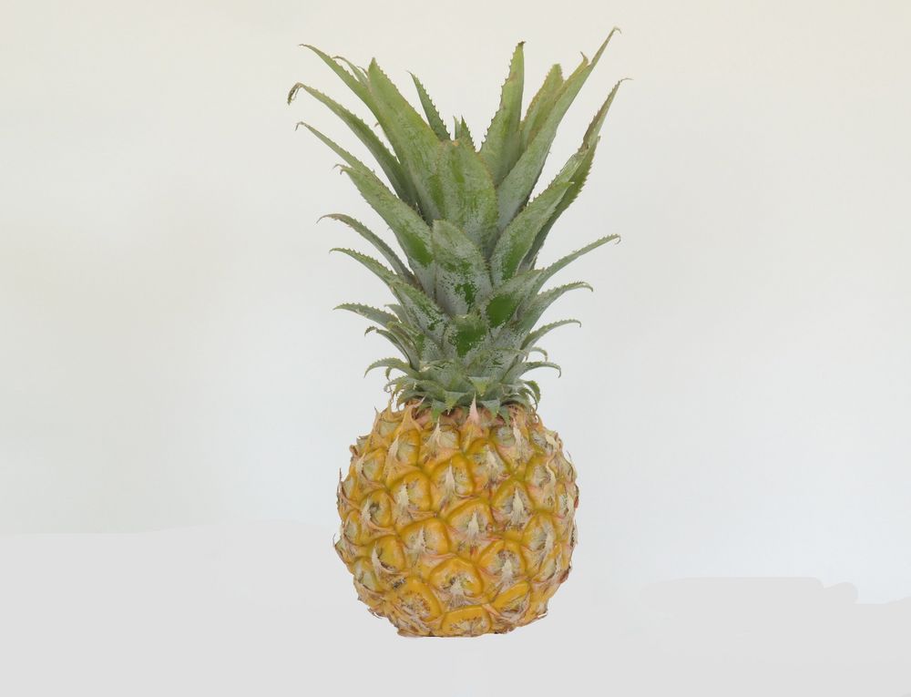 Mini Ananas Foto & Bild | food, süß, obst Bilder auf fotocommunity