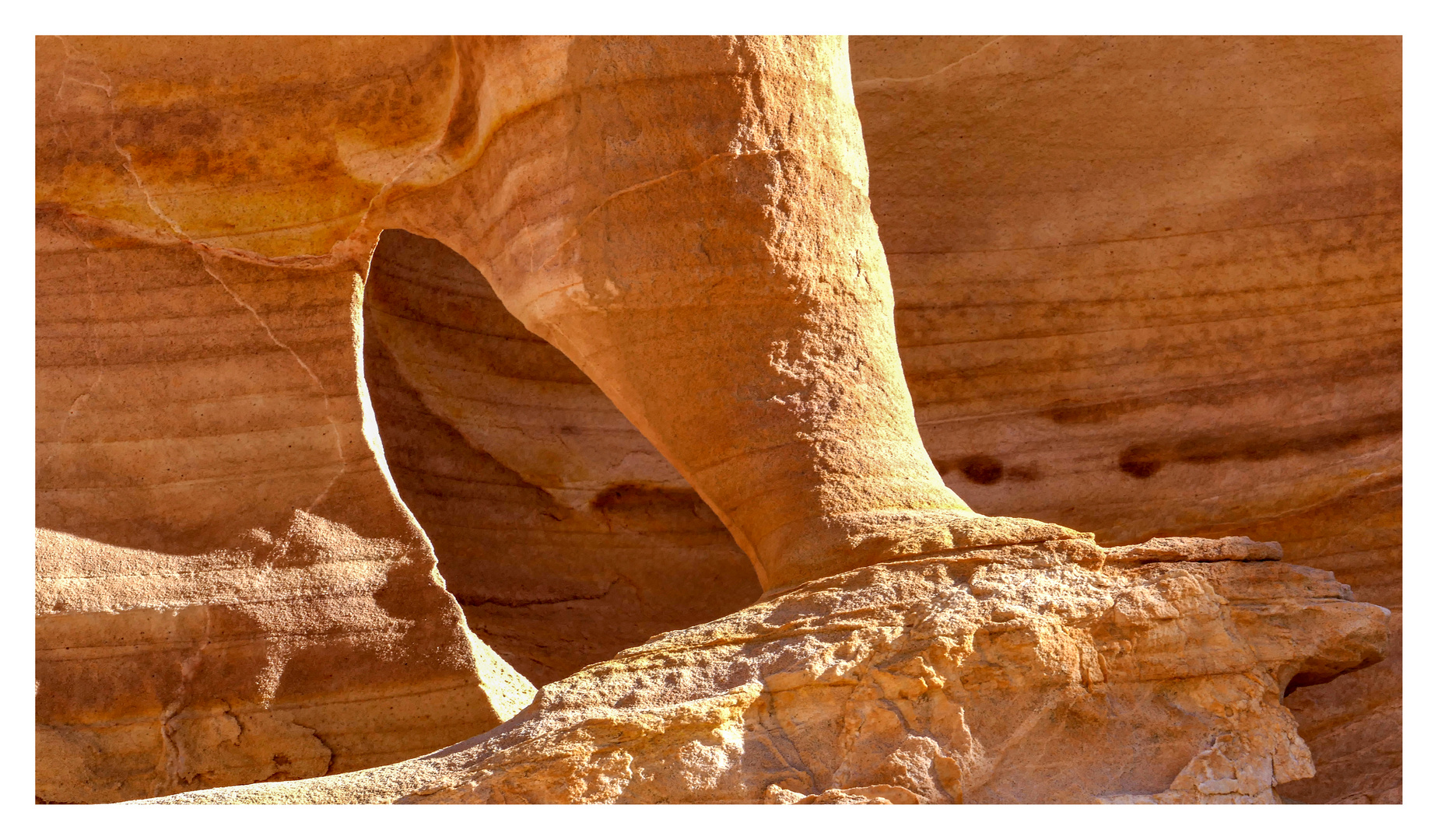 Mini-Arche im Valley of Fire Foto & Bild | north america, united states ...