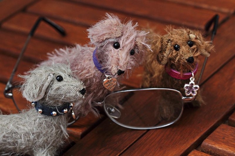 Mini-Dackel Foto & Bild | stillleben, teddies, motive Bilder auf ...