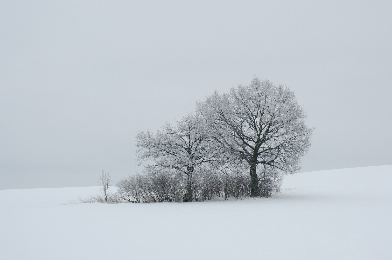- Minimalismus - Foto & Bild | jahreszeiten, winter, kalt Bilder auf ...