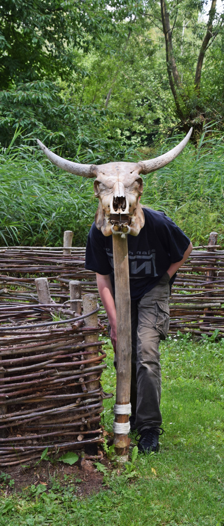 Minotaurus ? Foto & Bild | quatsch, fun und rätselecke, 1110, fotos ...