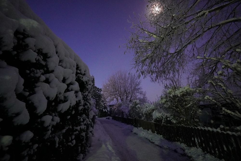 Minus 14 Grad Foto & Bild | jahreszeiten, winter, kalt Bilder auf ...