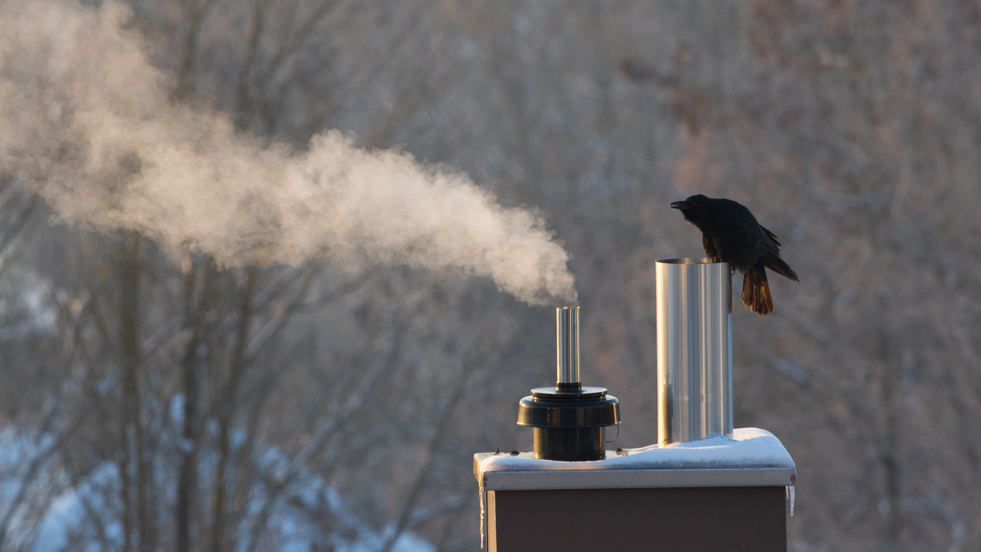 minus 14 Grad 8:53 Uhr Foto & Bild | jahreszeiten, winter ...
