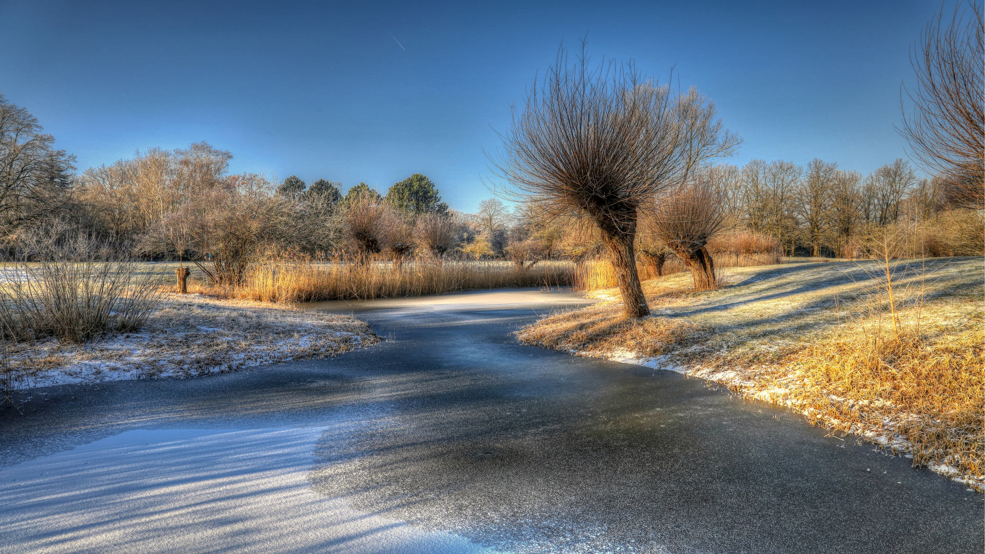 Minusgrade Foto & Bild | kalt, wasser, bäume Bilder auf fotocommunity
