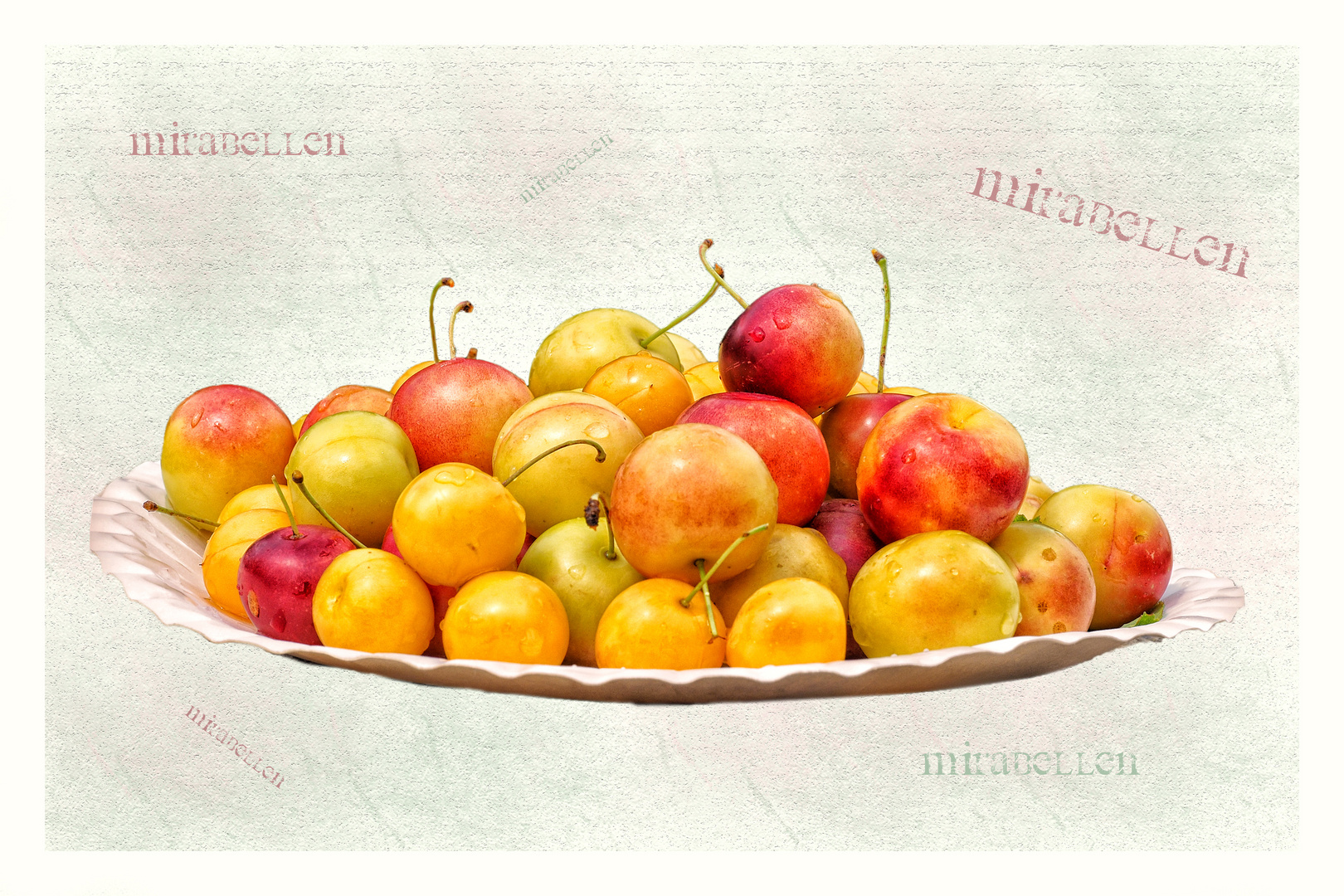 Mirabellen Foto & Bild | pflanzen, pilze & flechten, früchte und beeren ...