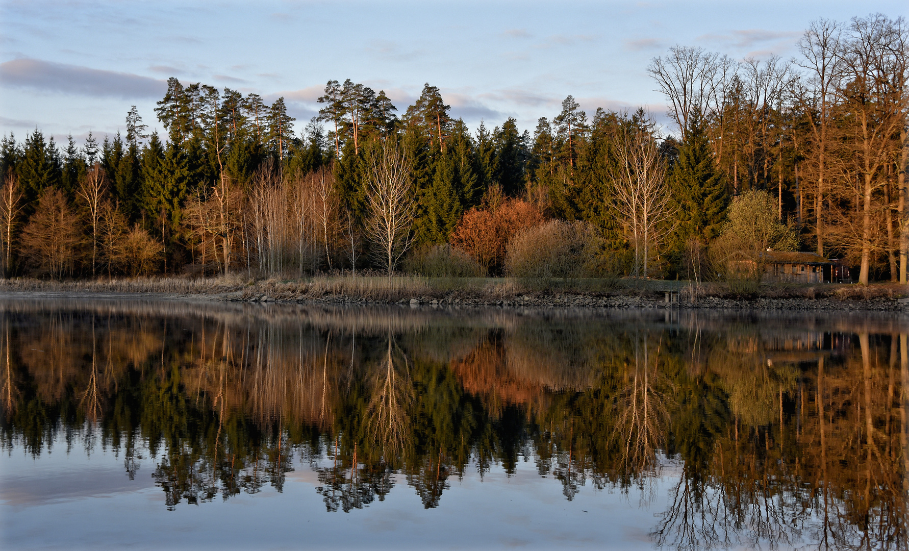 Mischwald Foto & Bild | europe, Österreich, landschaft Bilder auf ...