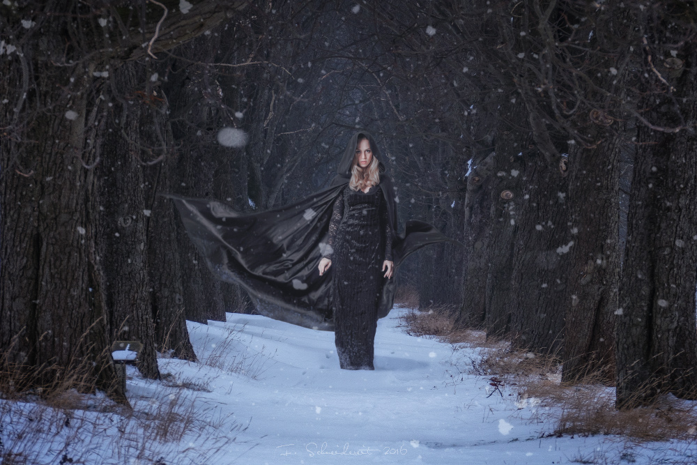 Miss January Foto & Bild | fotomontage, fantasy mystery, digiart Bilder ...