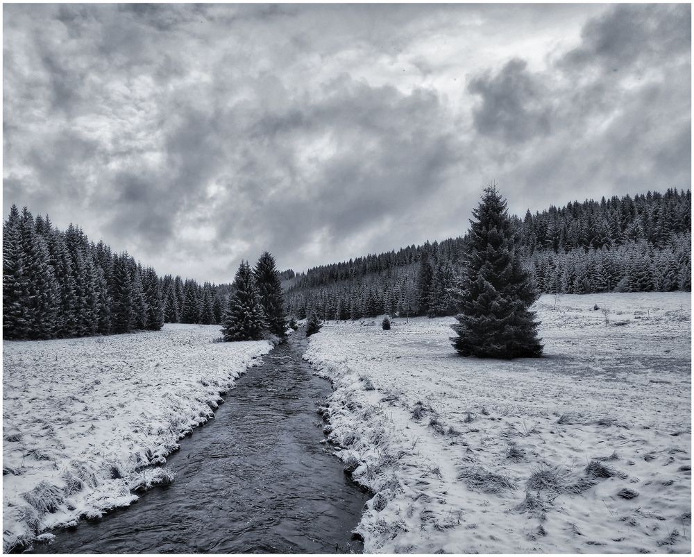 Miss the winter Foto & Bild | jahreszeiten, winter, fotos Bilder auf fotocommunity