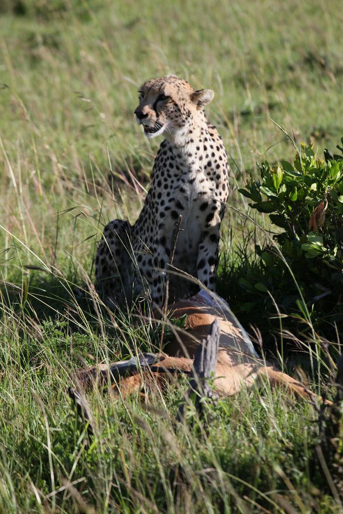 Mit Beute_2 Foto & Bild | africa, eastern africa, kenya Bilder auf ...