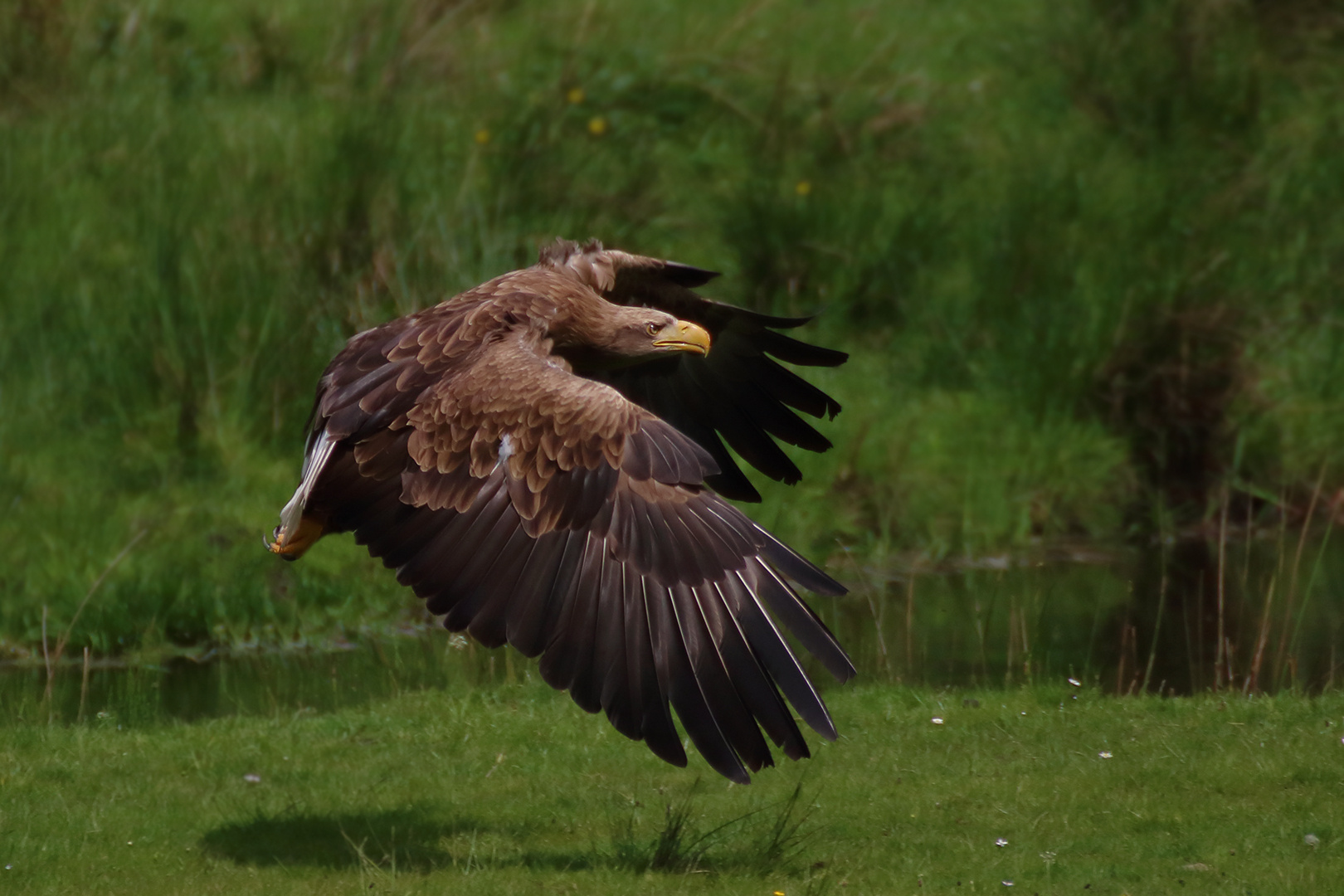 Mit dem Doppel-Wumms setzt er seine gesamte Energie frei Foto & Bild ...