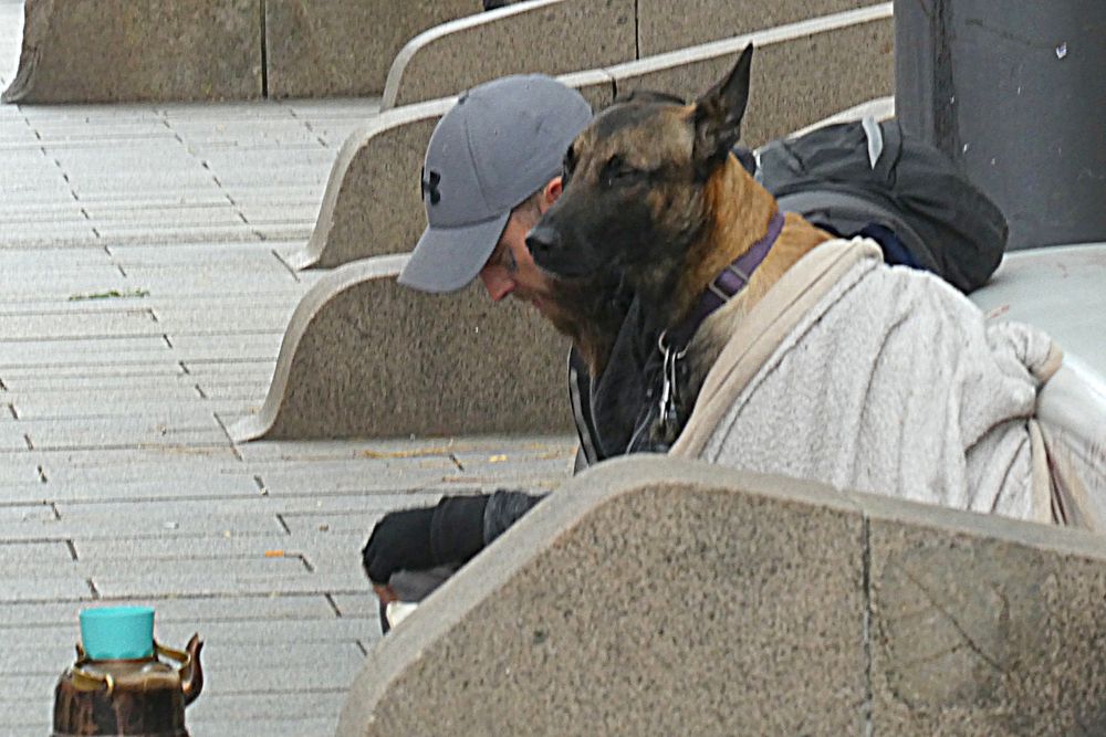 mit dem hund Foto & Bild | streetfotografie mit menschen, street: spontane portraits, streets ...