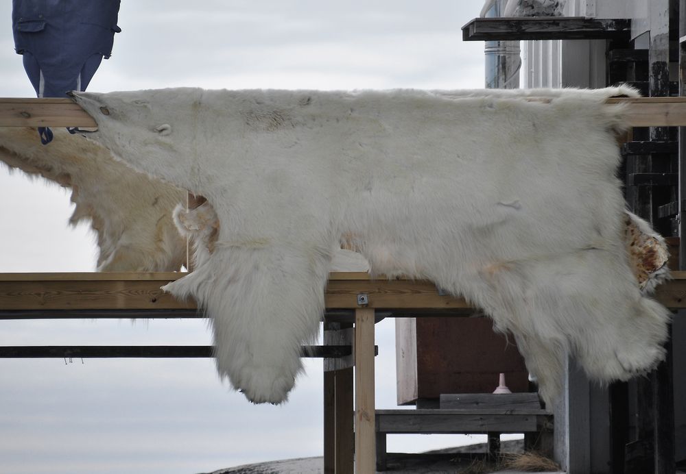 Mit dem Leben bezahlt Foto & Bild | dokumentation, tod, north Bilder ...