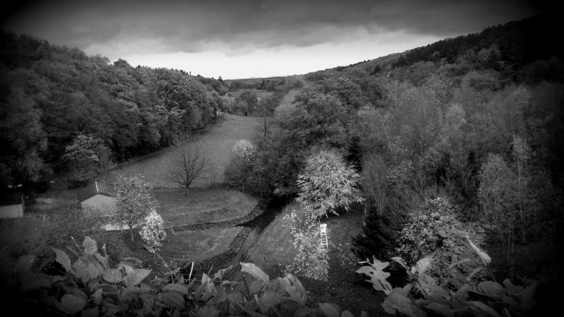 Mit dem Rücken zur Steinbachtalsperre Foto & Bild | landschaft, eifel ...