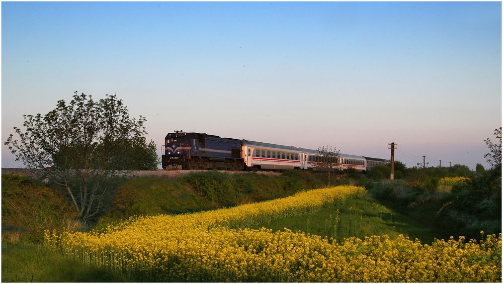 Mit dem Schnellzug durch die Hecke CCCXXVI Foto & Bild | europe, balkans, croatia Bilder auf ...