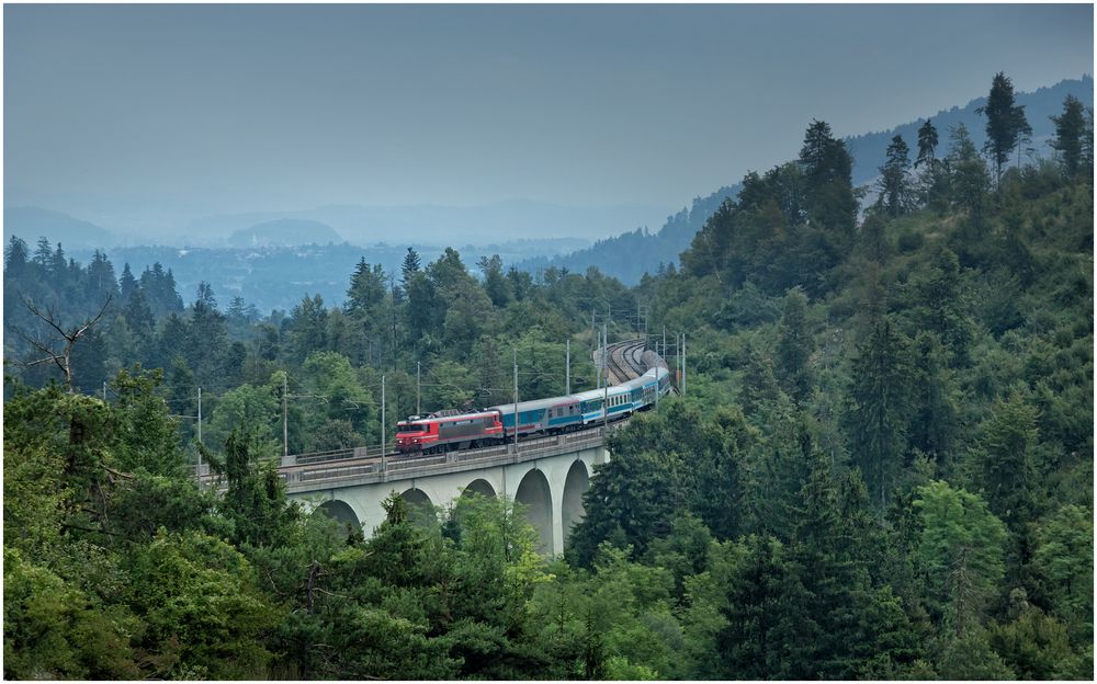 Mit dem Schnellzug durch die Hecke DCCCLXIX Foto & Bild | europe, balkans, slovenia Bilder auf ...