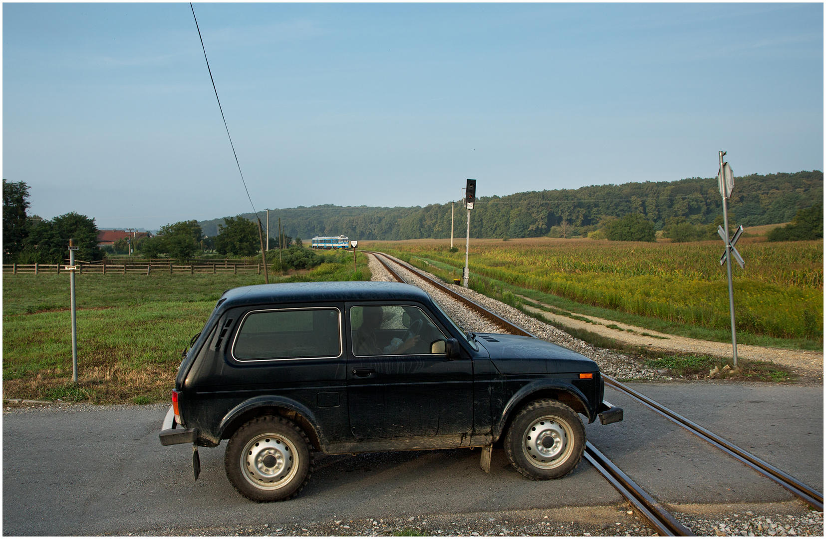Mit dem Schnellzug durch die Hecke DCCCXCV Foto & Bild | europe ...