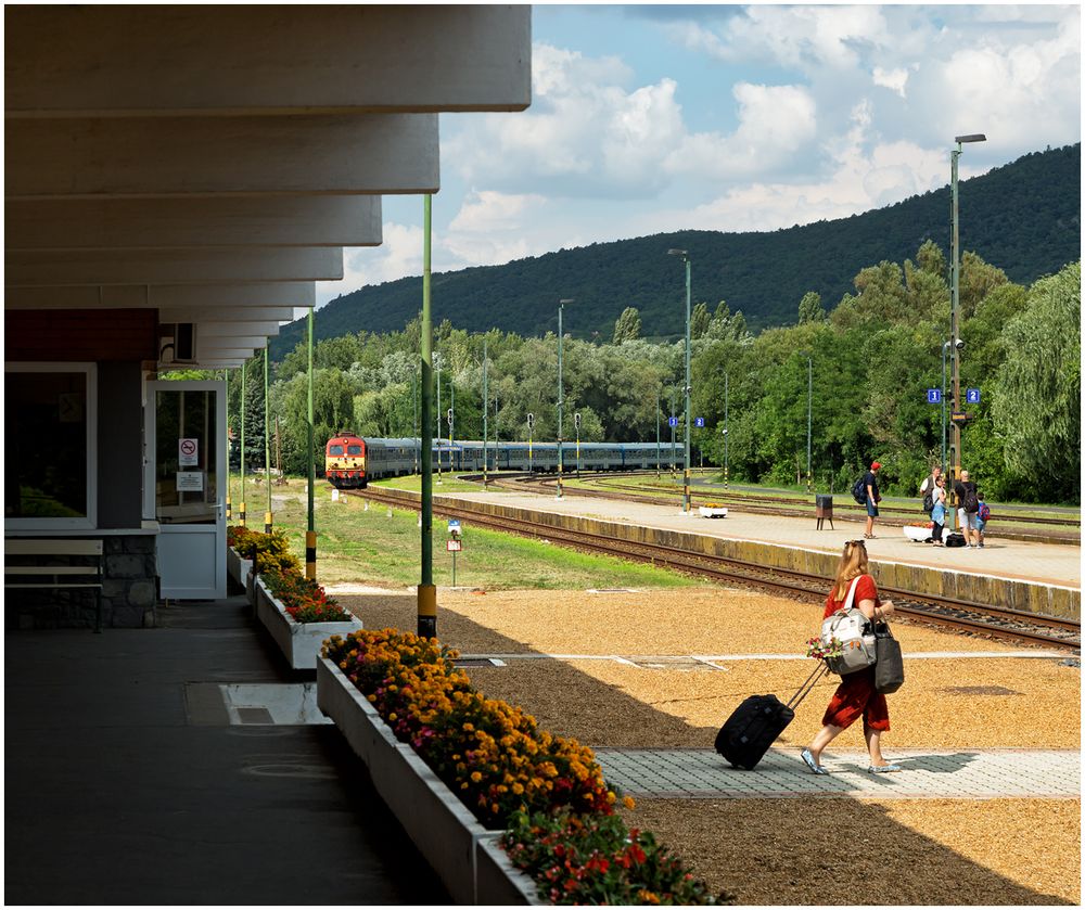 Mit dem Schnellzug durch die Hecke DCCXLIX Foto & Bild | europe, hungary, streetfotografie mit ...