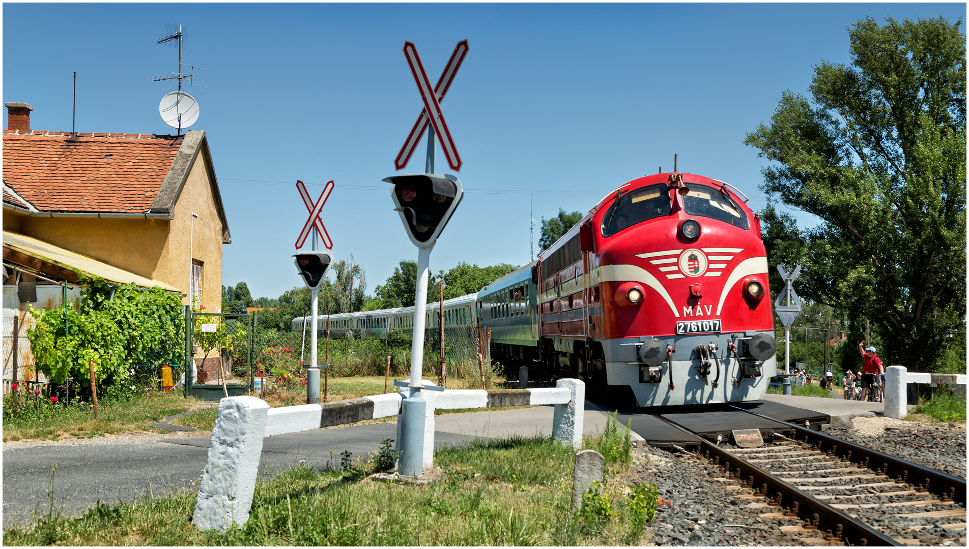Mit dem Schnellzug durch die Hecke DCCXXXVII Foto & Bild | europe ...