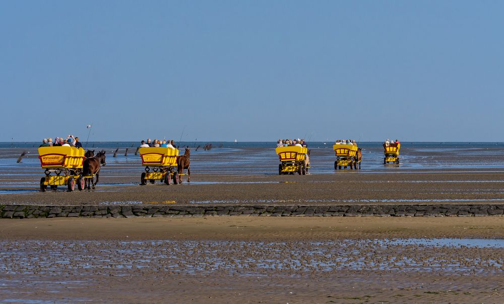 Mit dem Wattwagen zur Insel Neuwerk Foto & Bild | urlaub, fotos, world ...