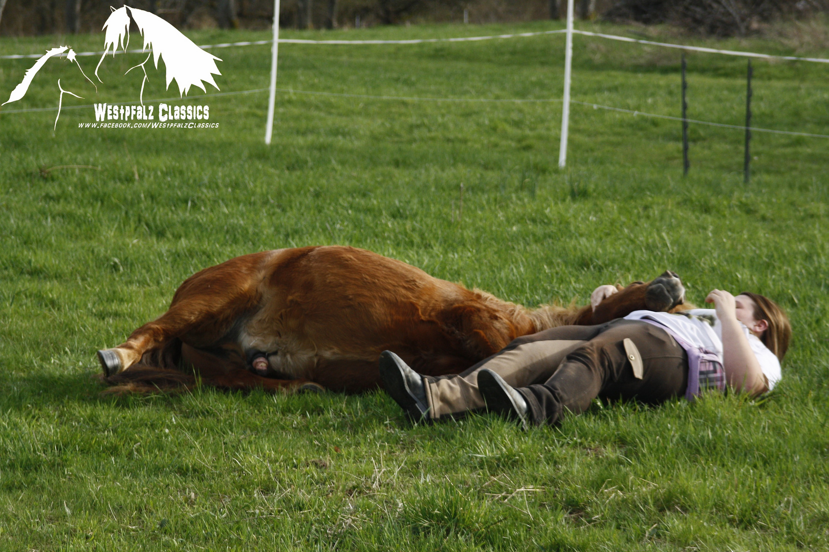 Mit Dir chilln.... Foto & Bild | tiere, haustiere, pferde, esel ...