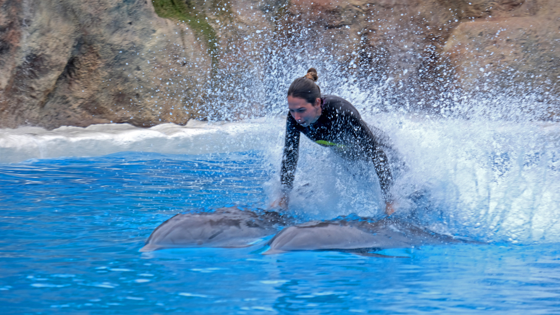 Mit doppeltem PS- Antrieb Foto & Bild | europe, canary islands die ...