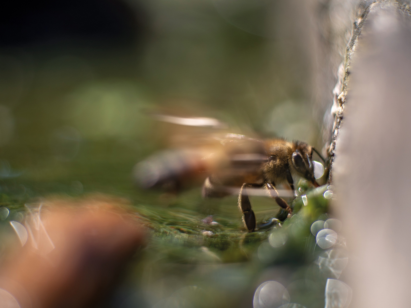 mit Vollgas.... Foto & Bild | spezial, outdoor, natur Bilder auf ...