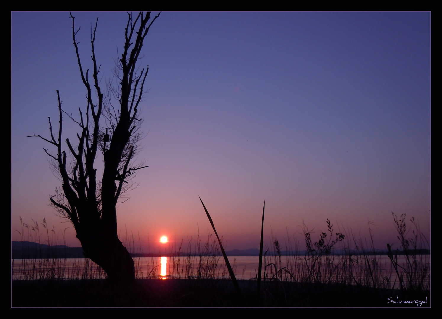 Mitgehen Foto & Bild | emotionen, trost, gedanken Bilder auf fotocommunity