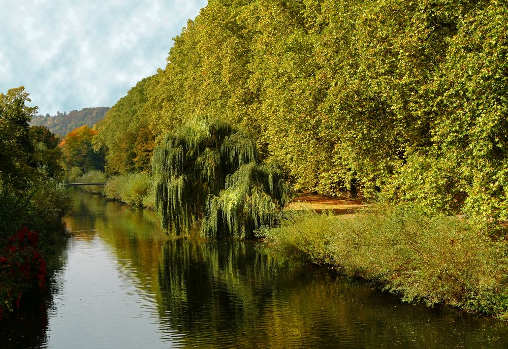 Mittags am Fluss Foto & Bild | landschaft, bach, fluss & see, flüsse ...