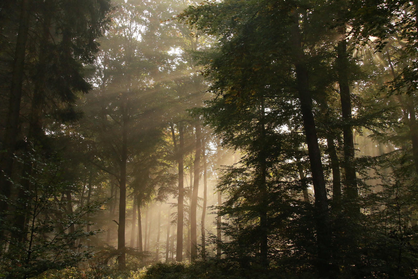 Mittelerde-Bruchtal Foto & Bild | landschaft, jahreszeiten, herbst ...