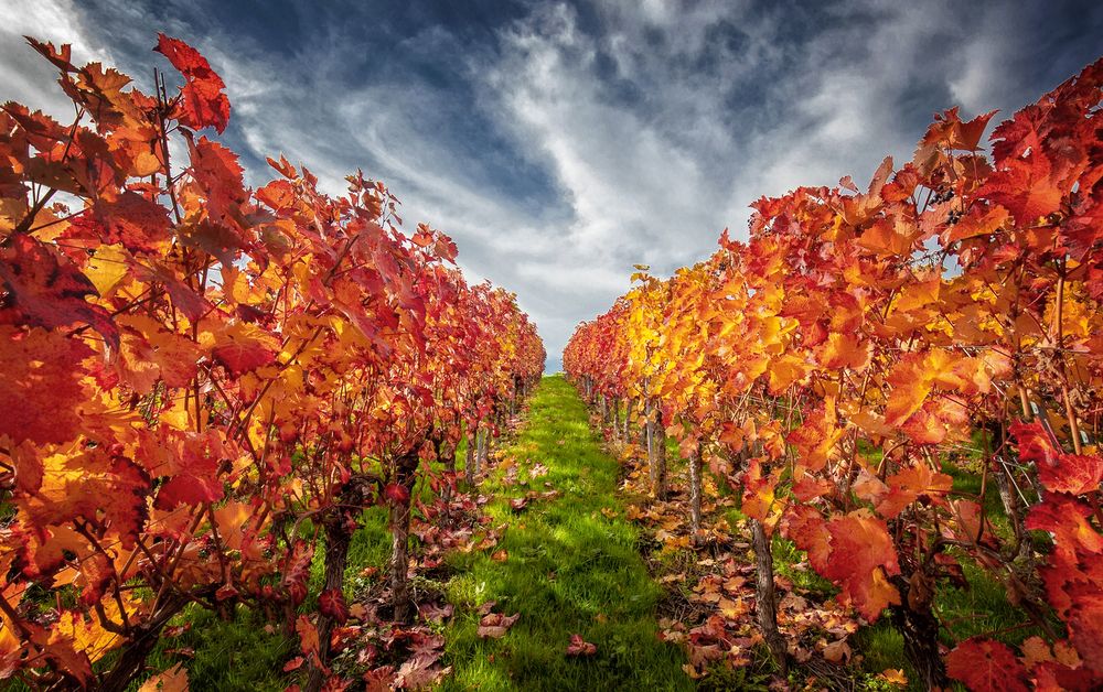 Mittendrin Foto & Bild | landschaft, jahreszeiten, herbst Bilder auf fotocommunity