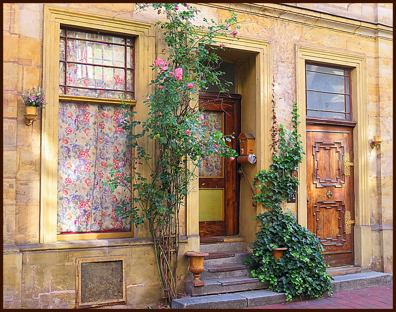 Mittwochsblümchen- Rosen am Eingang Foto & Bild | fenster, architektur ...
