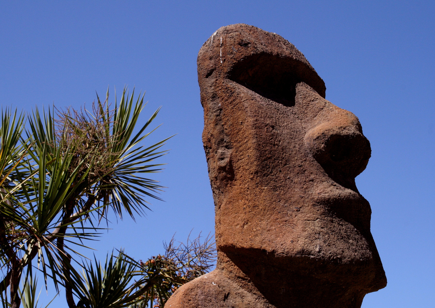 Moaï photo et image | australia & oceania, oceania, world Images ...