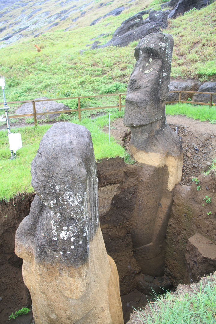 Moai Foto & Bild | south america, chile, osterinsel rapa nui Bilder auf ...