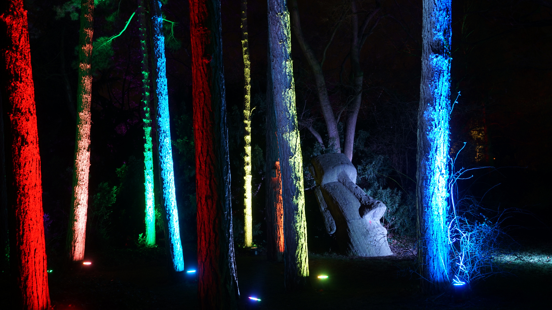 Moai Maea - Statue Foto & Bild | wald, bäume, licht Bilder auf ...
