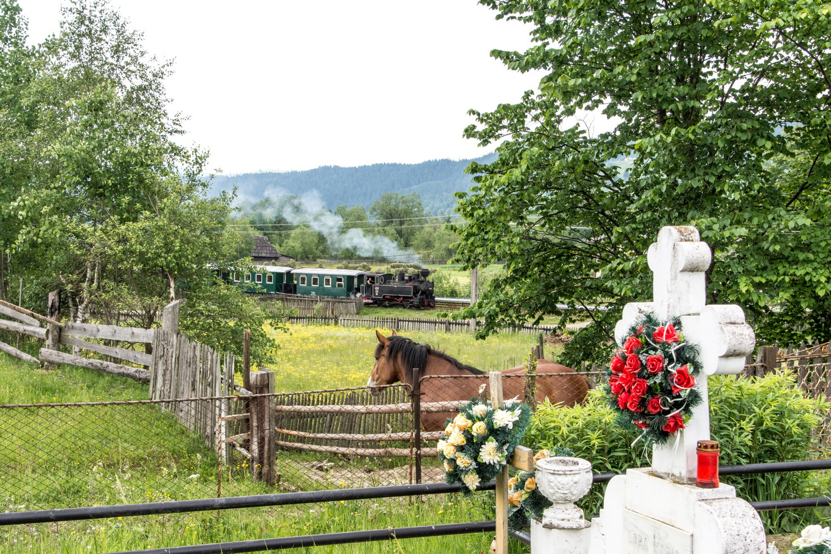 Mocanita Hutulca Moldovita Foto & Bild | schmalspur, eisenbahn ...