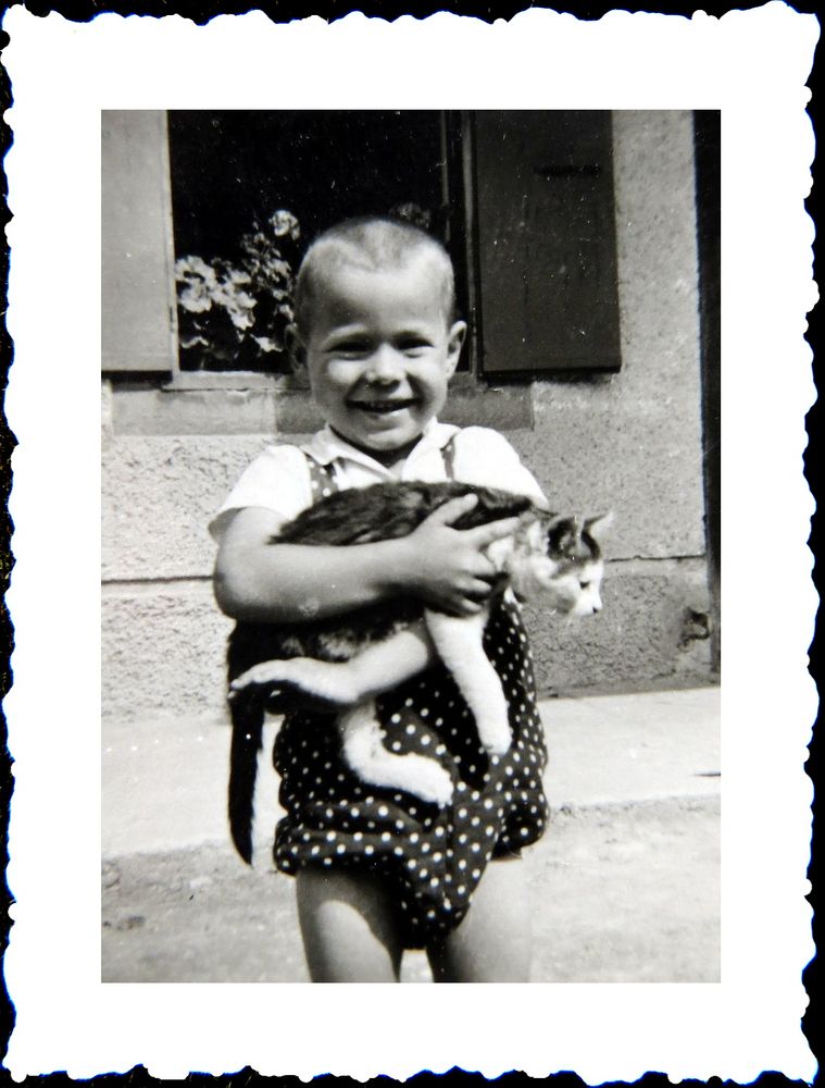 Mochte Katzen schon immer Foto & Bild | kinder, nostalgie, katze Bilder ... Mochte Katzen schon immer Foto & Bild | kinder, nostalgie, katze Bilder ...