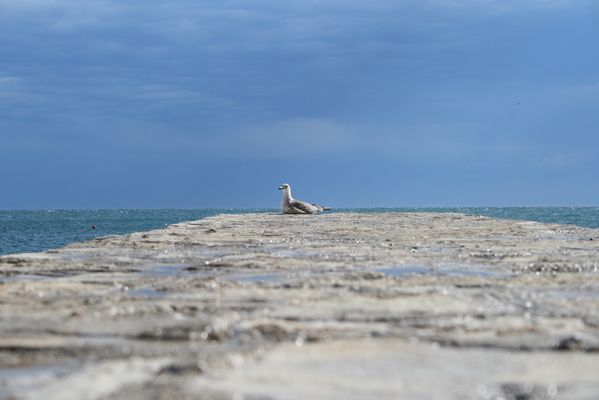 Laura Fleckenstein - Fotos & Bilder - Fotografin aus Augsburg ...