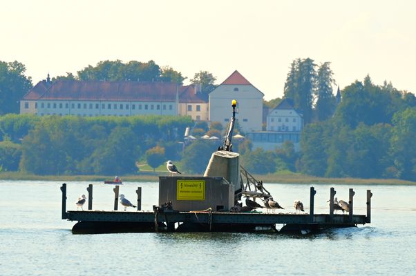 Spezialschiffe Bilder & Fotos