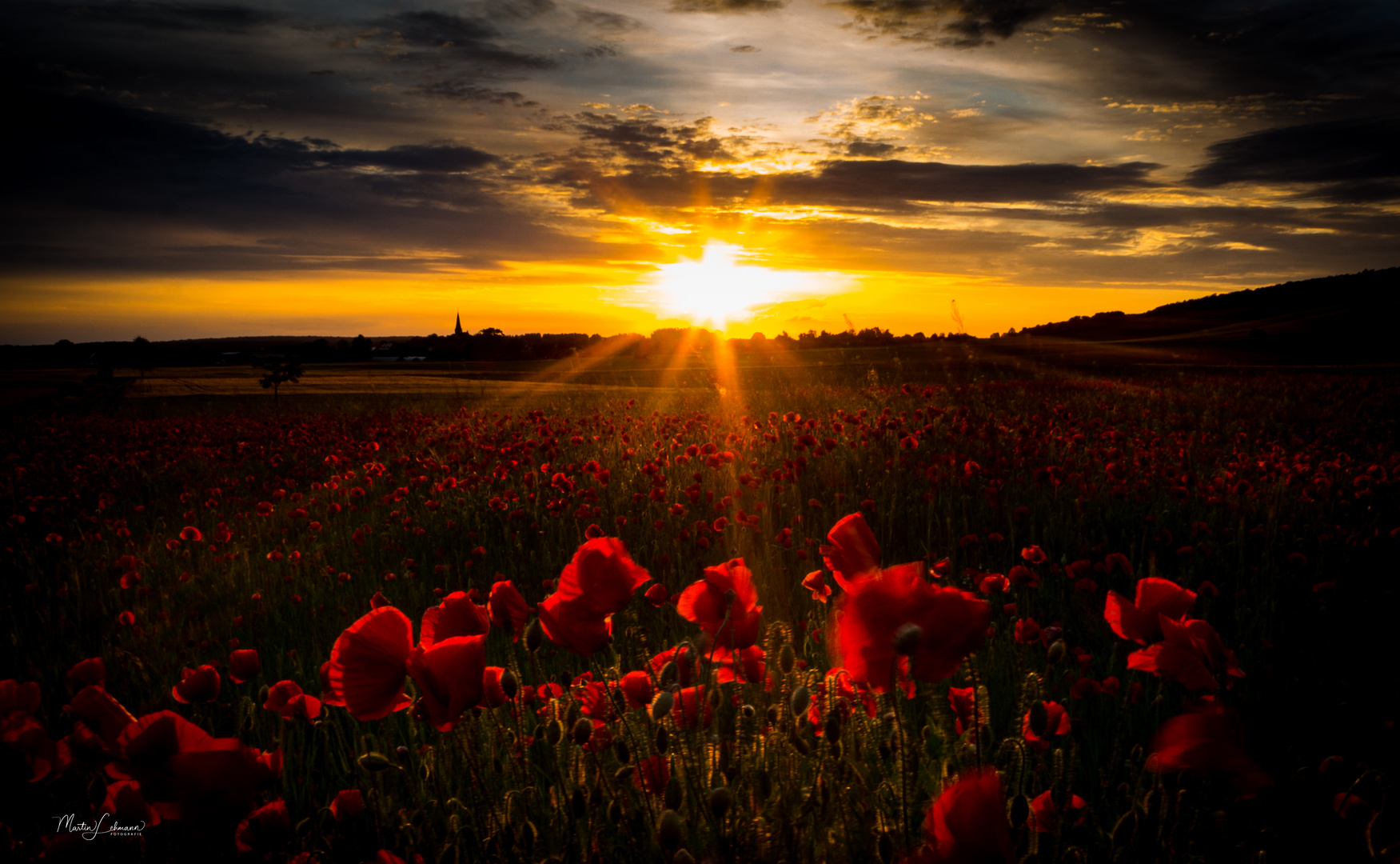 Mohnfeld #1 Foto & Bild | sunset, rot, landschaften Bilder auf ...