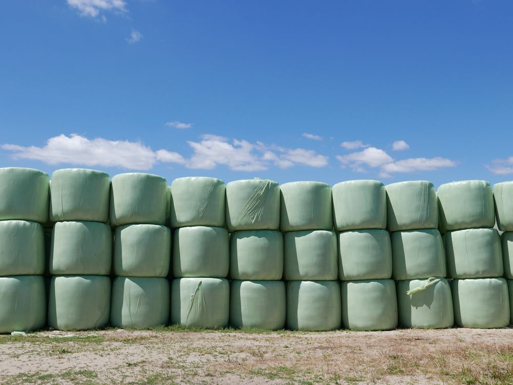 moisson photo et image | nature Images fotocommunity