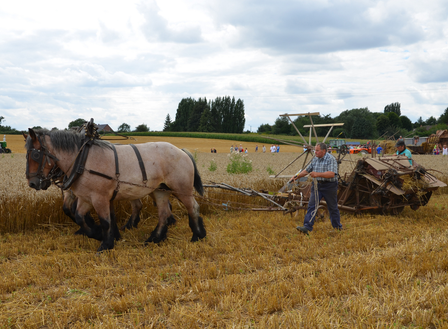 Moisson à l'ancienne photo et image | paysages, paysages de campagne ...