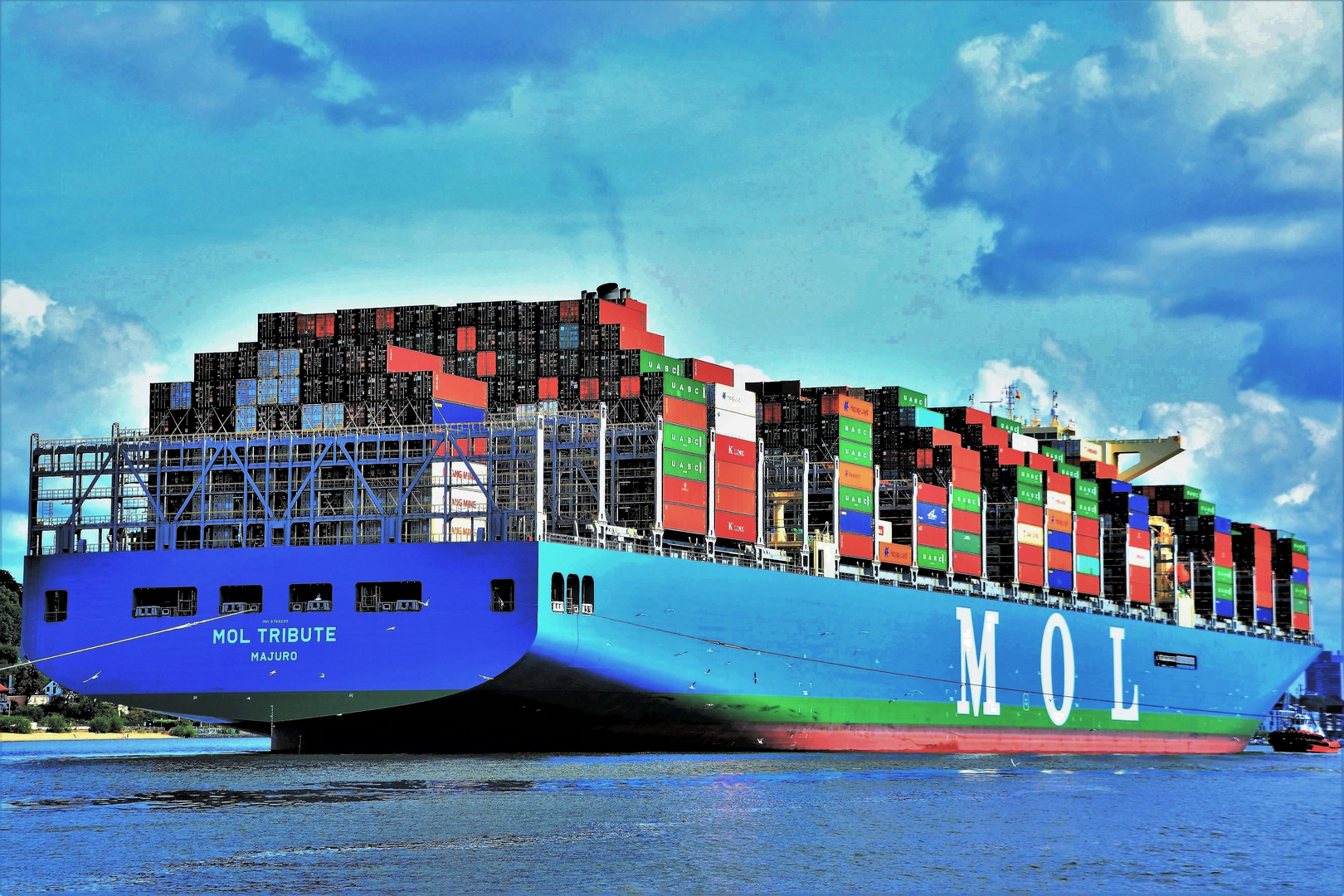 MOL TRIBUTE Foto & Bild | fotos, nikon, world Bilder auf fotocommunity