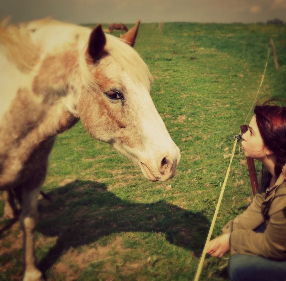 Momentaufnahme| Tier und Mensch| Pferd Foto & Bild | tiere, tier und ...