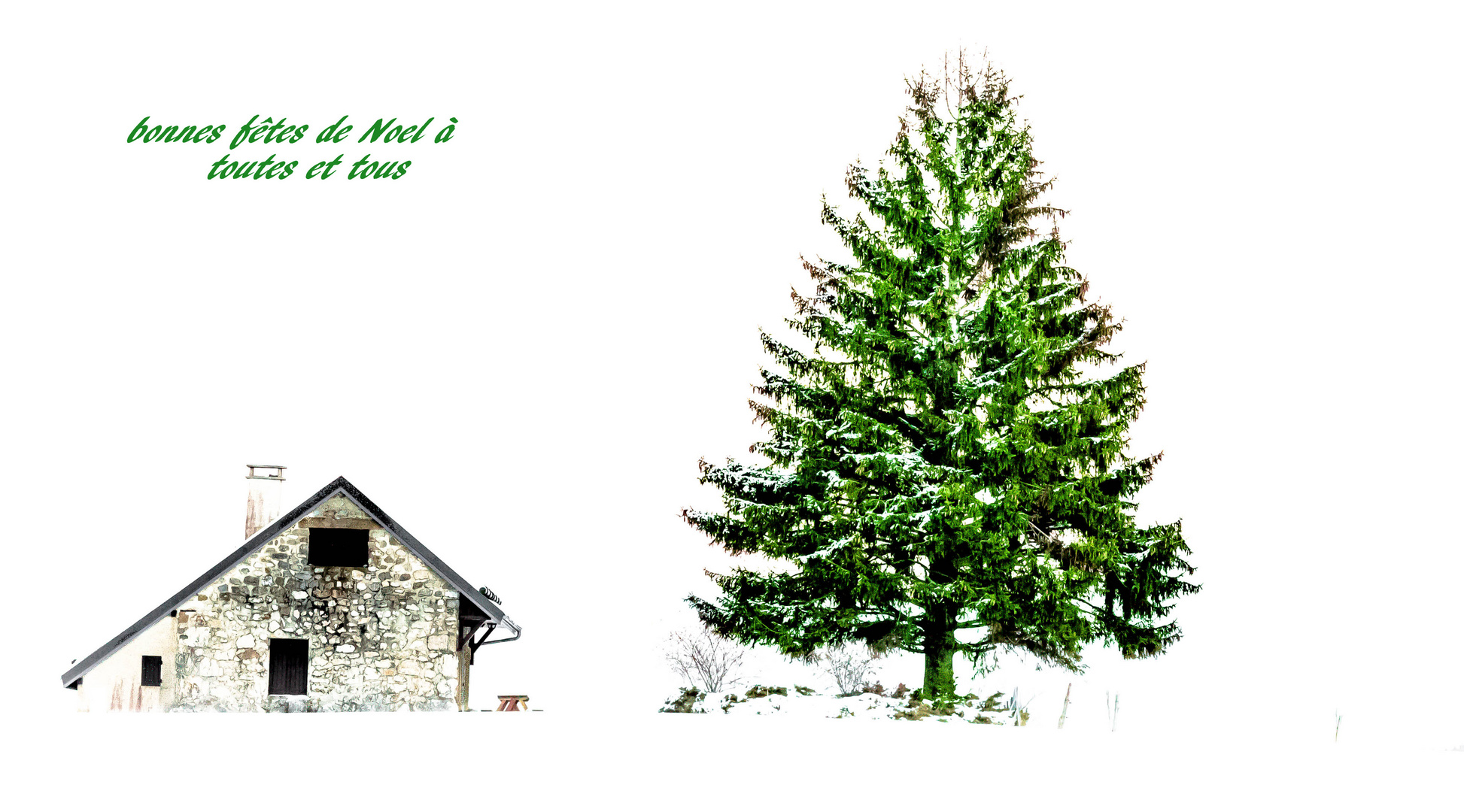 mon beau sapin- version 2 photo et image | noël, arbres, special Images ...